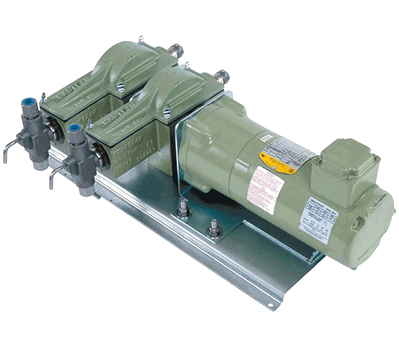 Texsteam 22F5-2 Series Pump (Double Head, 122.88 GPD, 1000 PSI ...